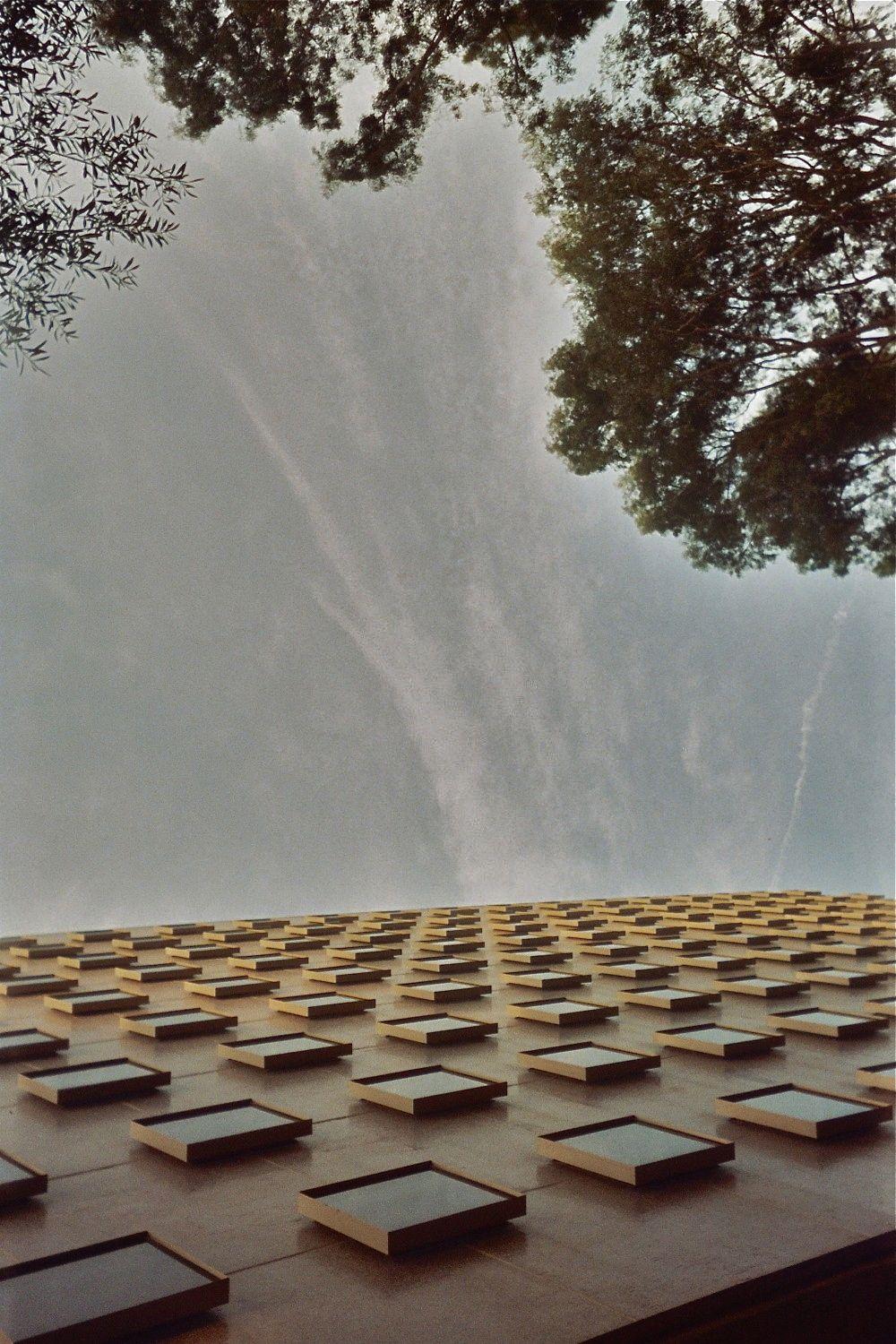 UCLA Design Media Arts
